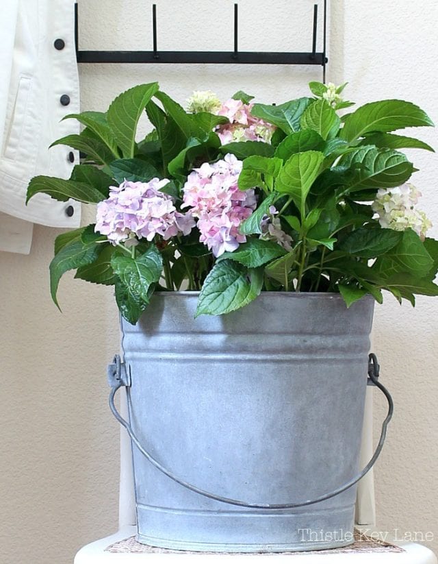 DIY Vintage Bucket Idea and Antique Project Inspiration