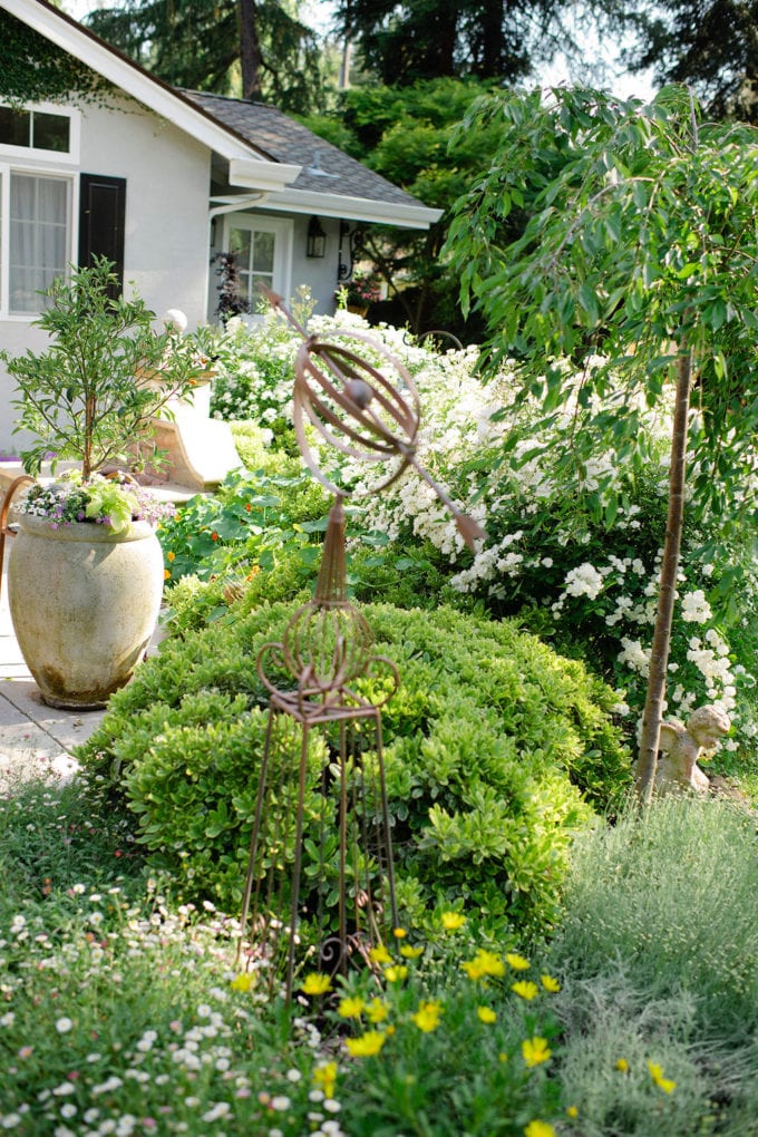 Unique Container Gardening Ideas - Modern Glam Unique Container Gardening Ideas - Modern Glam