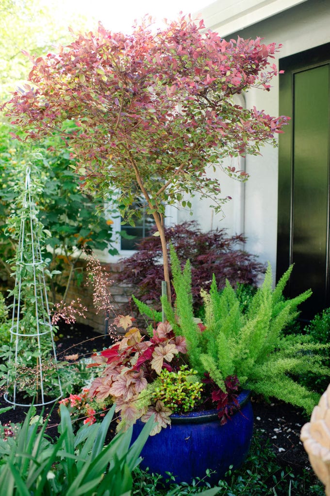 Unique Container Gardening Ideas - Modern Glam