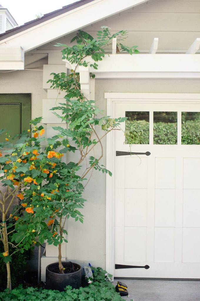 Unique Container Gardening Ideas - Modern Glam Unique Container Gardening Ideas - Modern Glam
