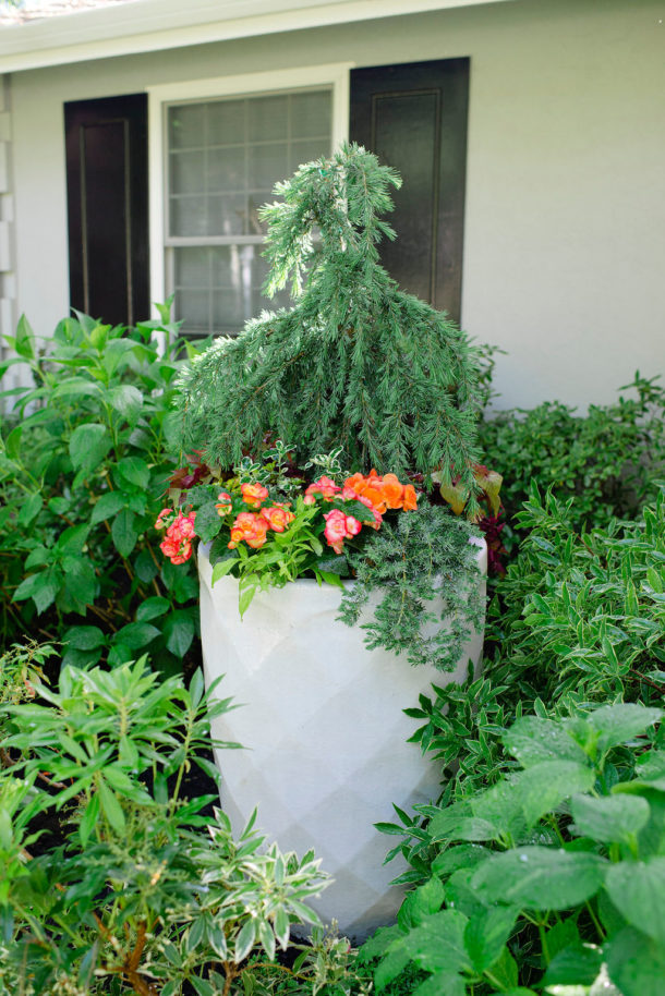 Unique Container Gardening Ideas - Modern Glam