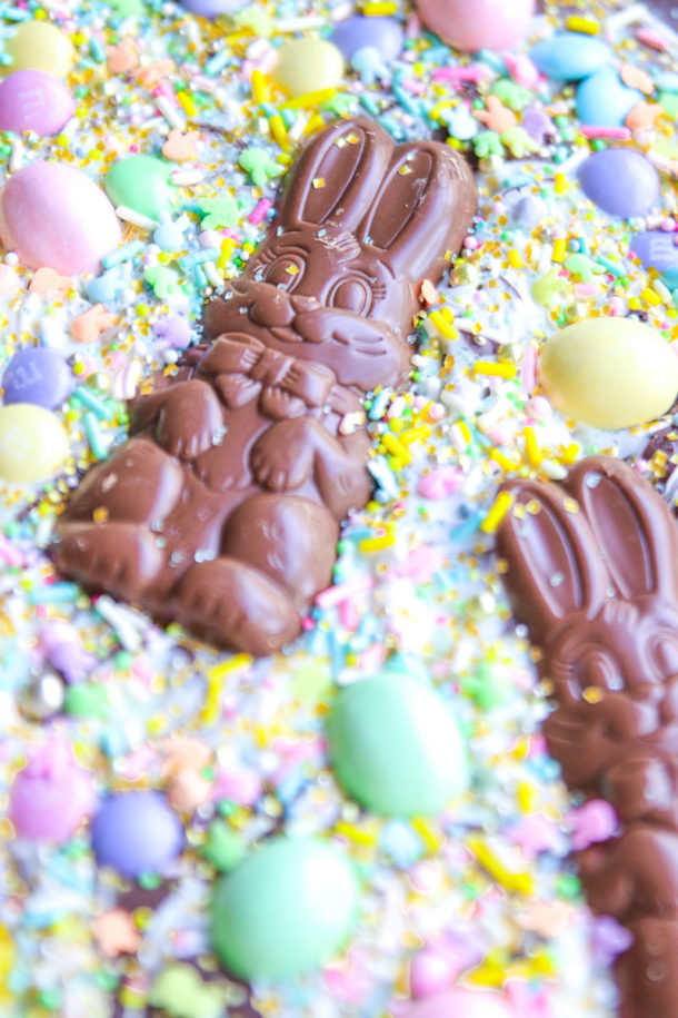 Easter Bark Recipe with White and Dark Chocolate - Modern Glam