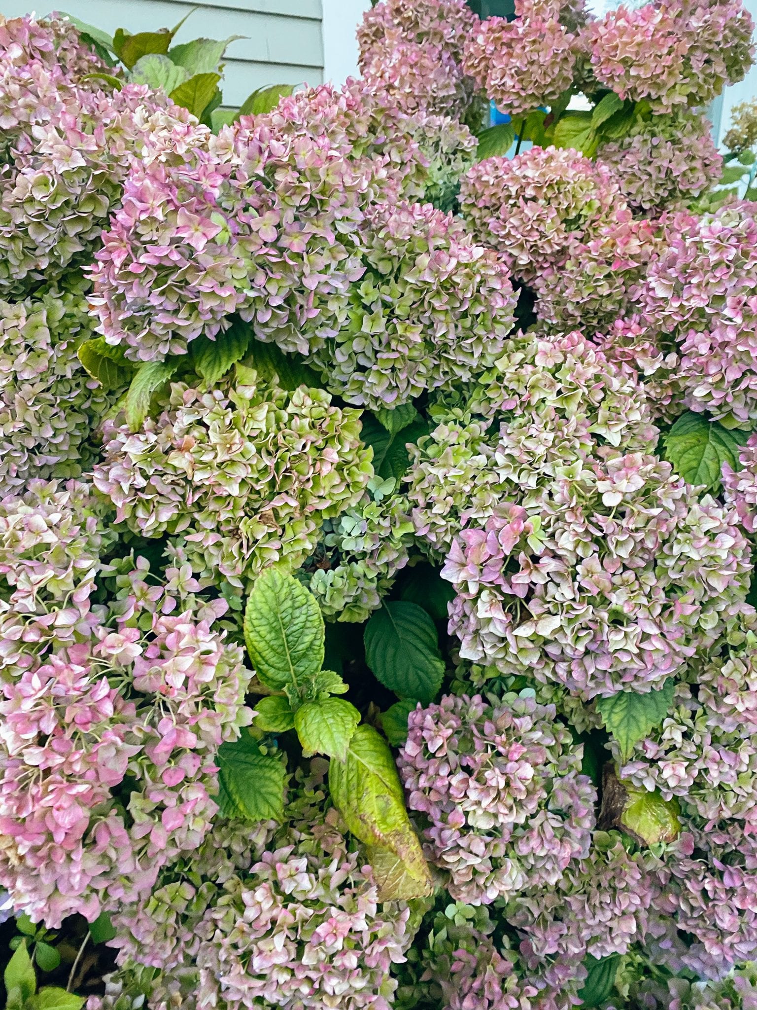 Nantucket Travel Guide - Modern Glam - Travel