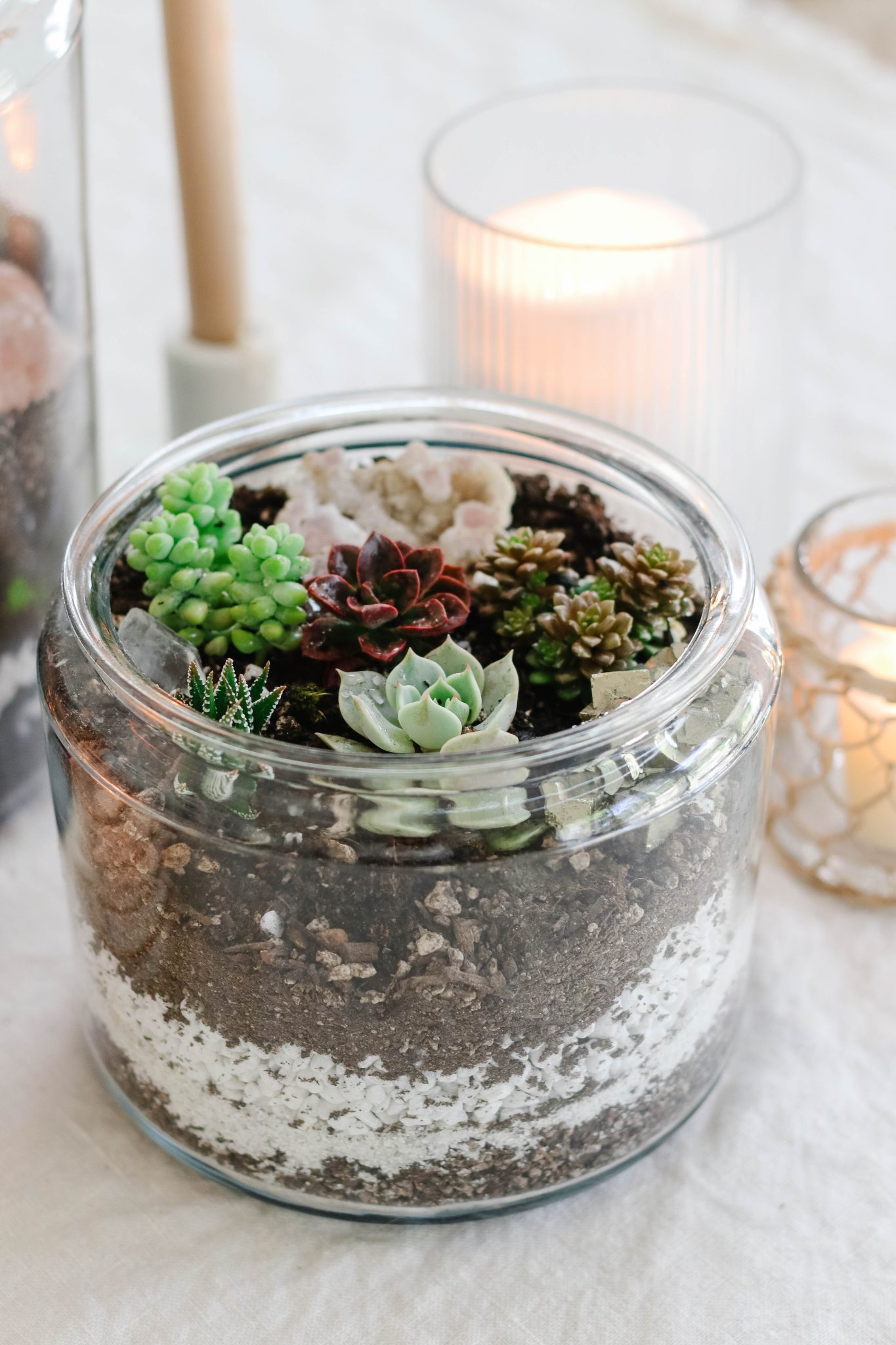 How To Make A Beautiful Succulent Terrarium - Modern Glam