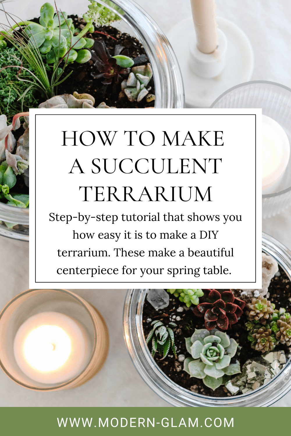 How To Make A Beautiful Succulent Terrarium - Modern Glam