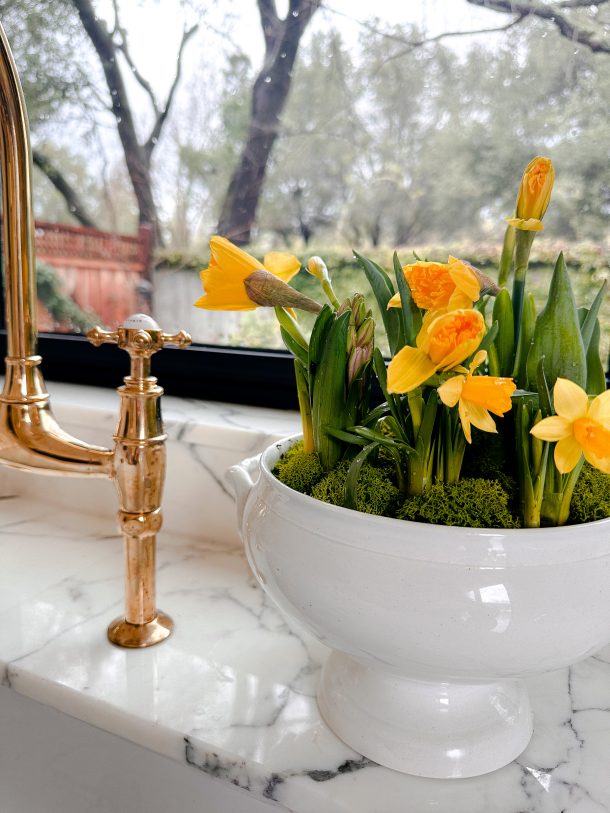 Flowering Bulb Centerpiece in Vintage Ironstone - Modern Glam