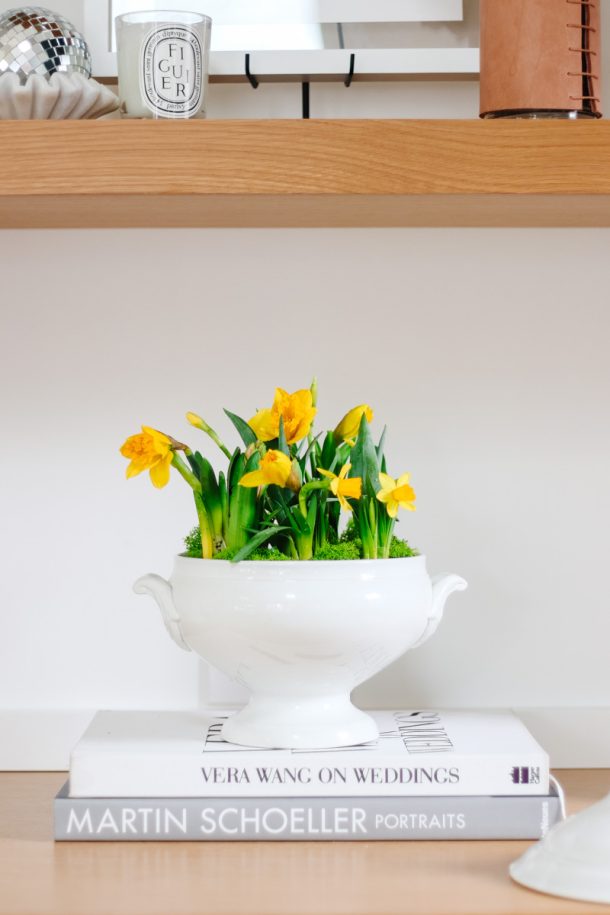 Flowering Bulb Centerpiece in Vintage Ironstone - Modern Glam